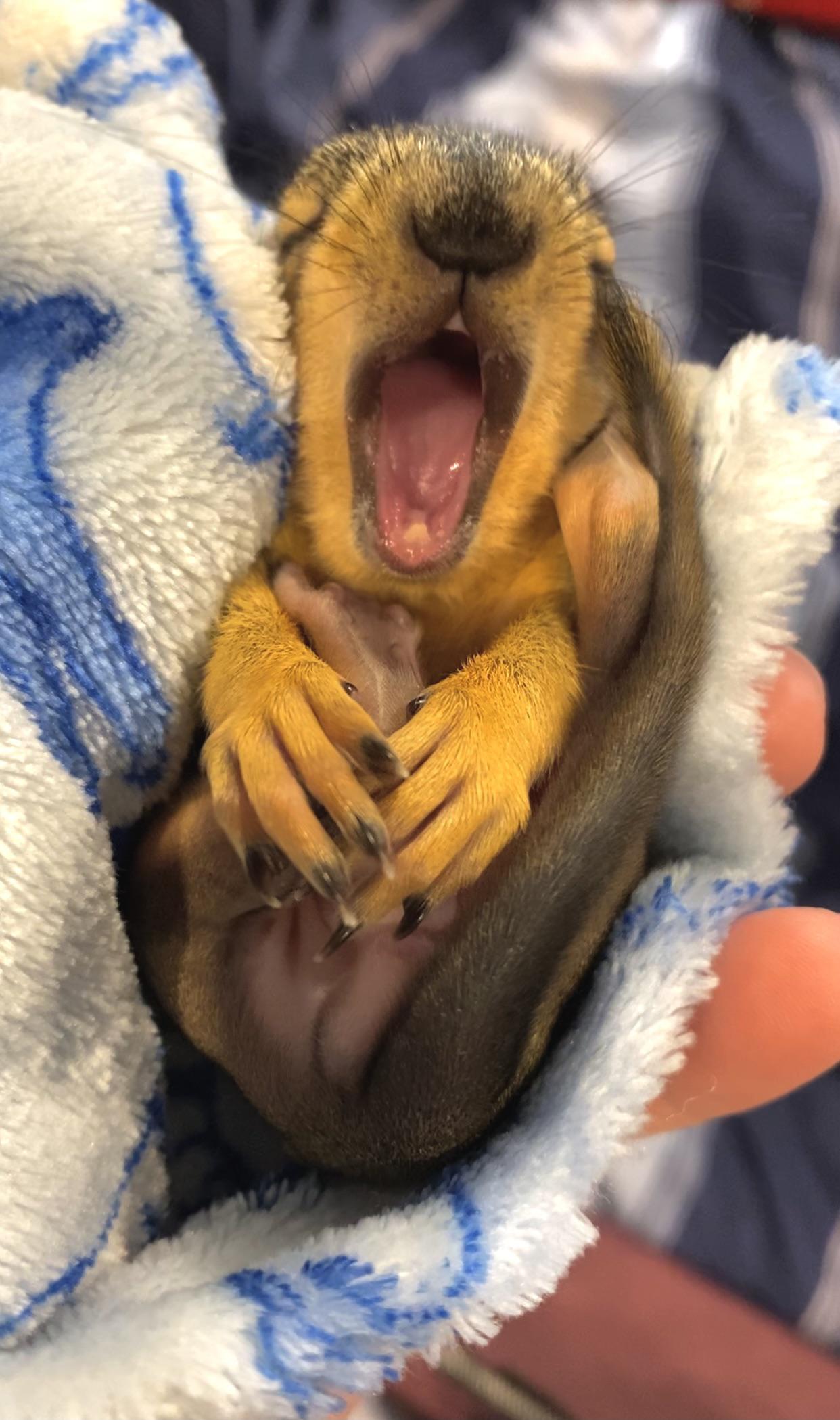 More foster baby cuteness | Scrolller