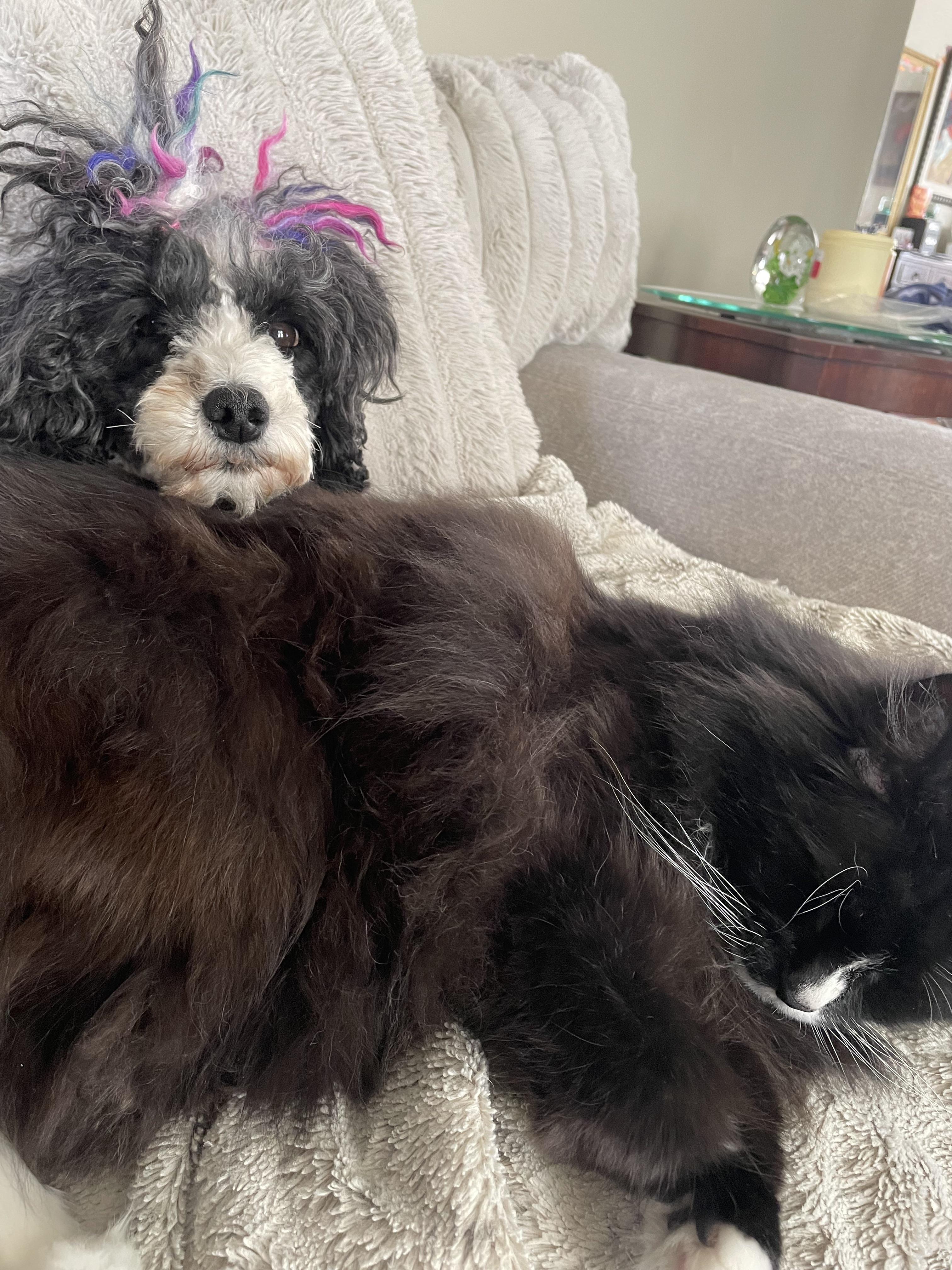 At first she was amused | Scrolller