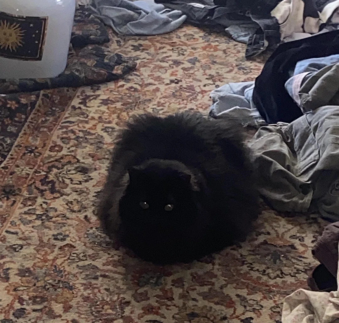 cloud man | Scrolller