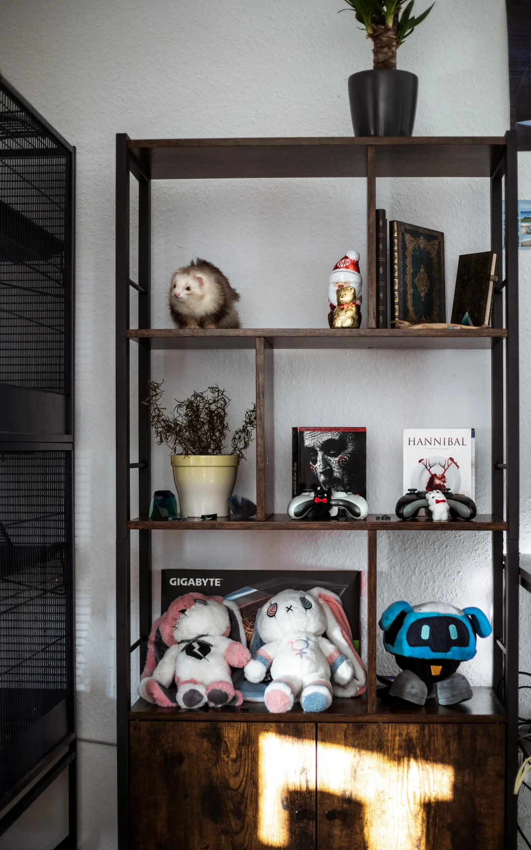 she studies interior design | Scrolller