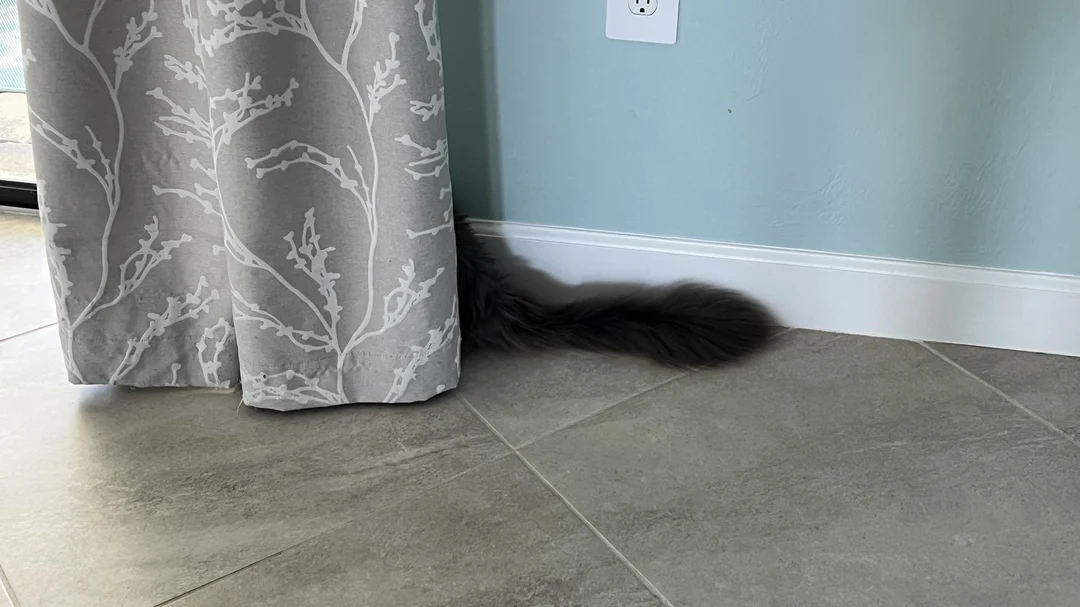 You can’t see me. I’m not here. | Scrolller