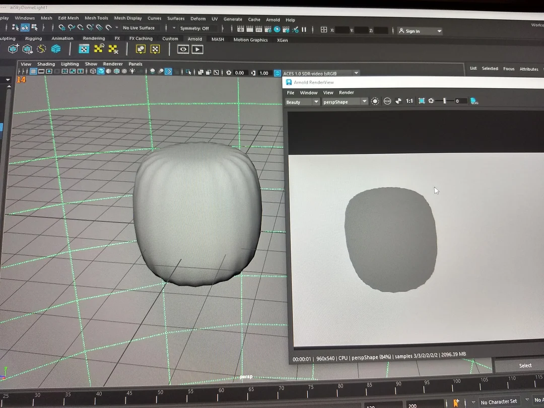 render problem.why my Arnold render looks like this ..used a skydome light but the render looks ...
