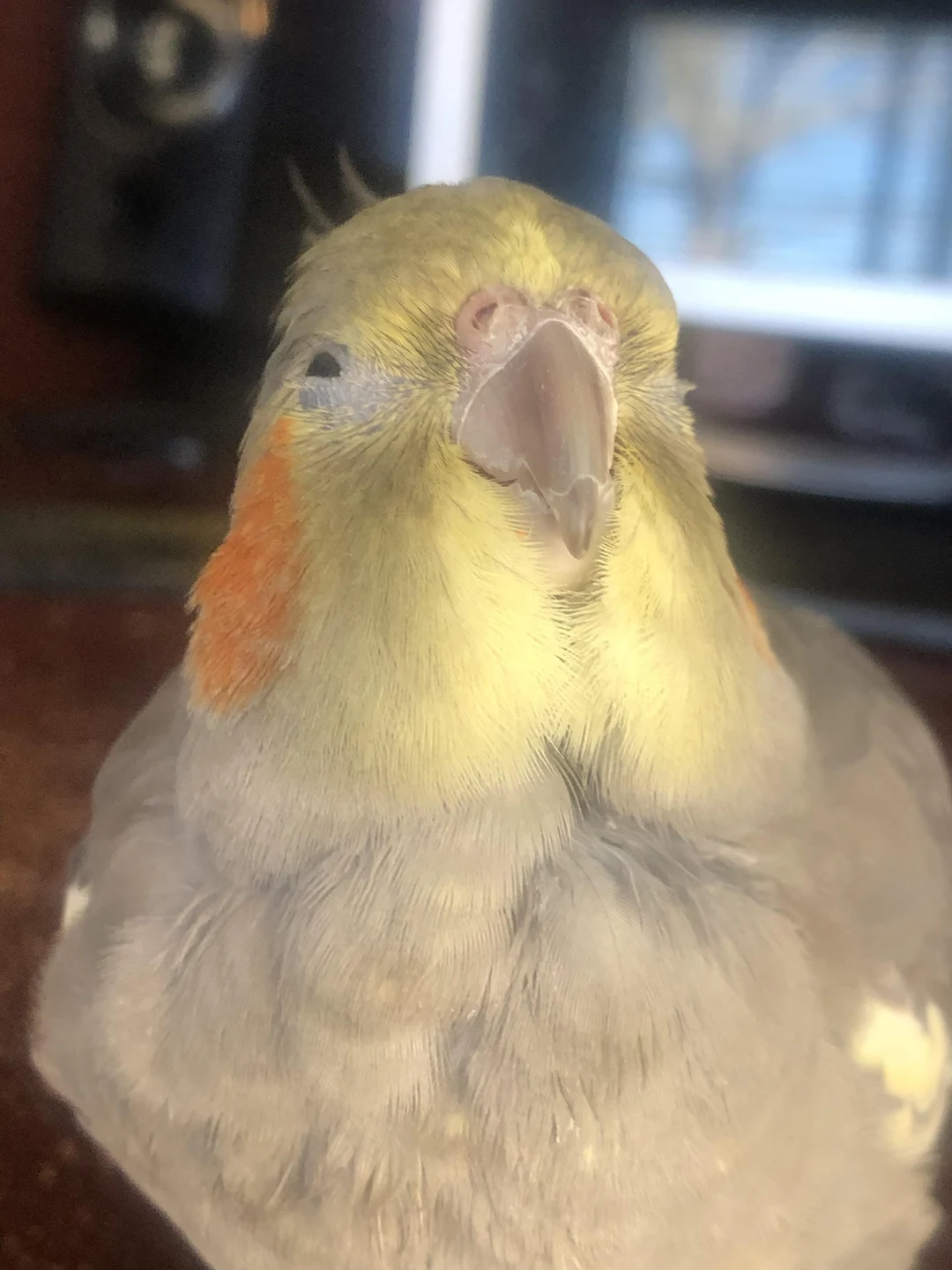 She looks like she’s about to sneeze 😆 | Scrolller