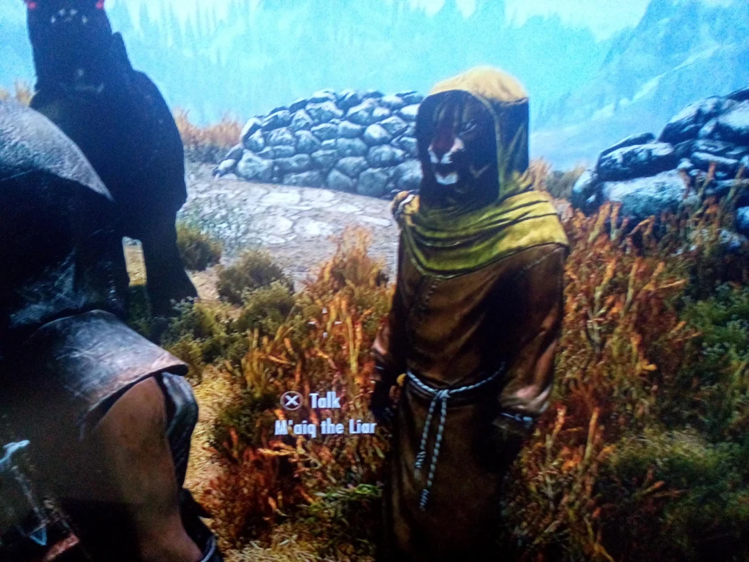 this is the second running I have with this Easter egg from previous Elder scroll game | Scrolller