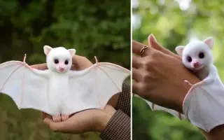 Cute baby animals | Scrolller