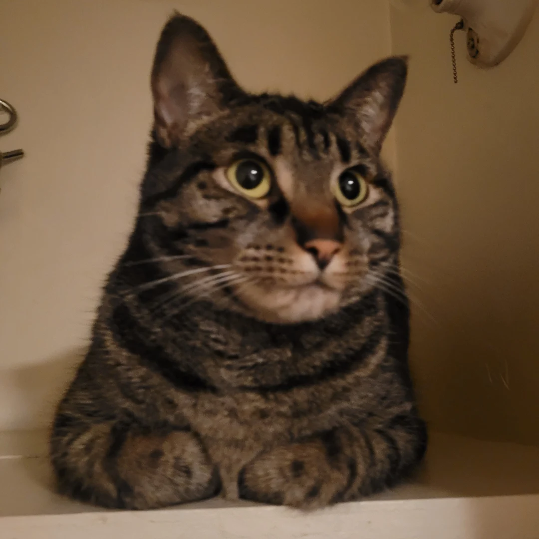 Isabella with the double tuck! | Scrolller