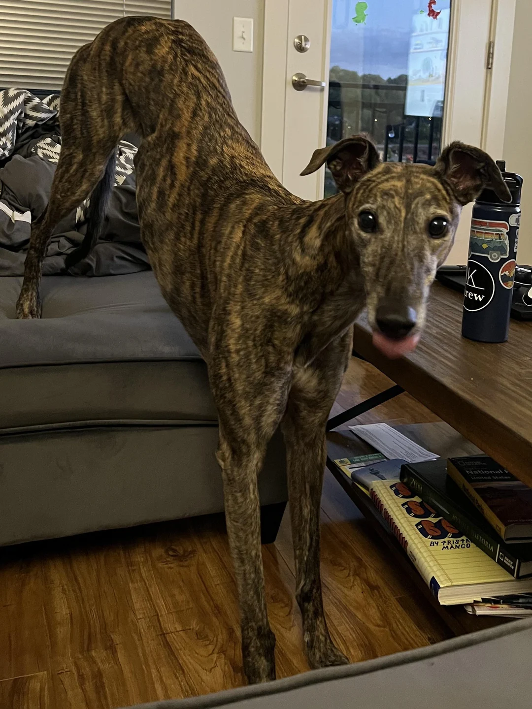 Never let them know your next step | Scrolller