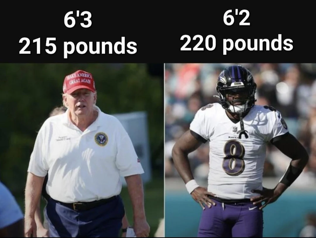 Is the Donald build meta ? | Scrolller