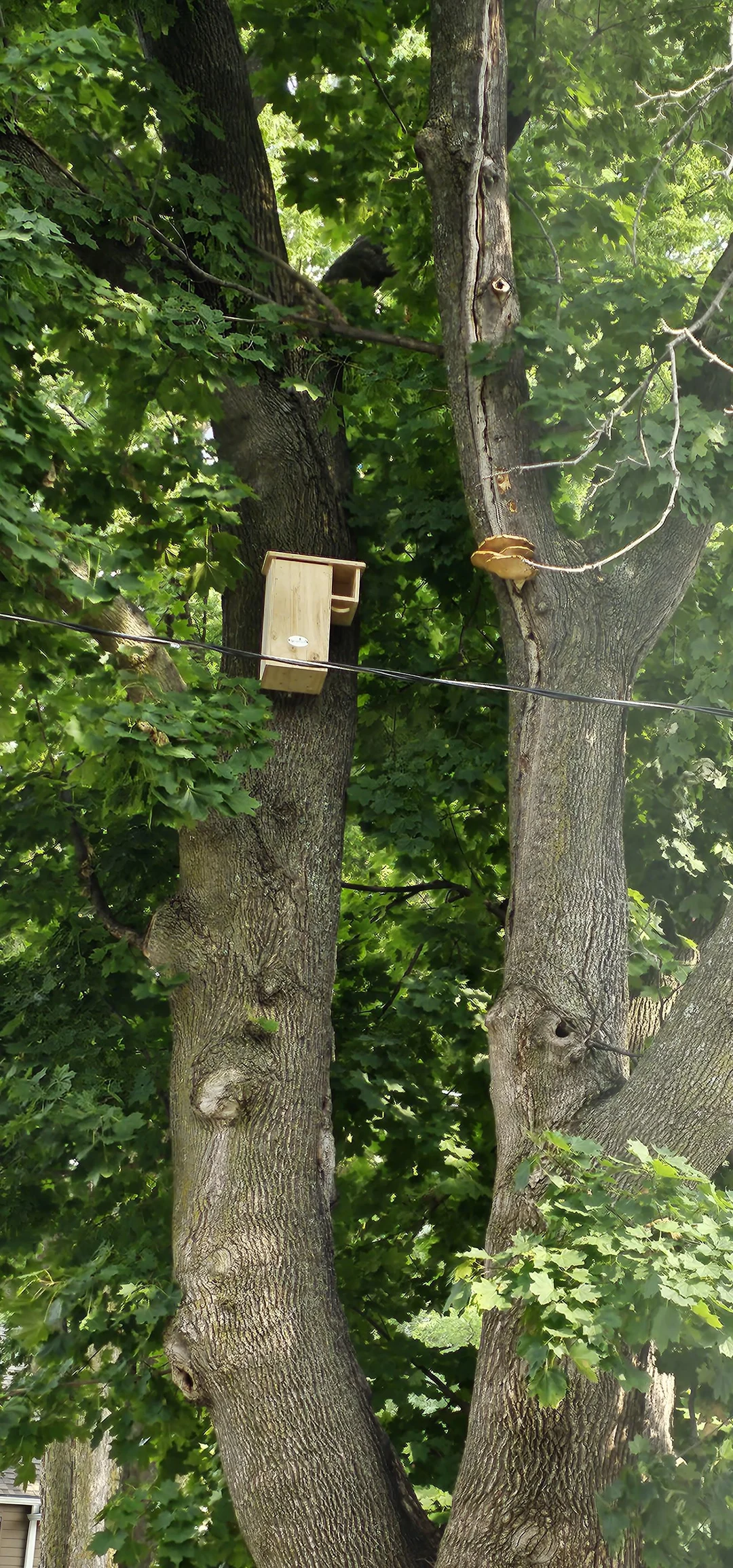 Now we wait! | Scrolller