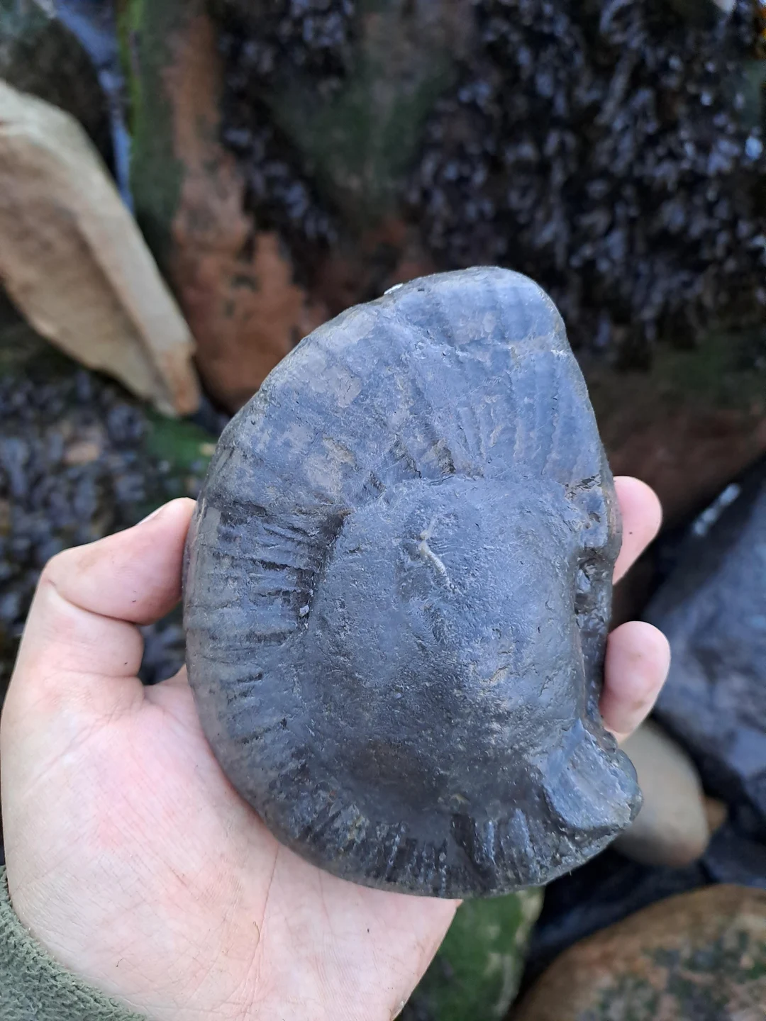 North Yorkshire? Ye completed it mate😉⚒️ | Scrolller