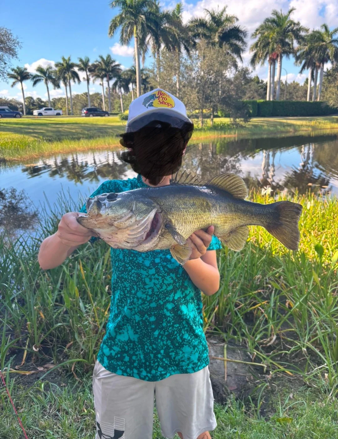 Weight estimate? | Scrolller