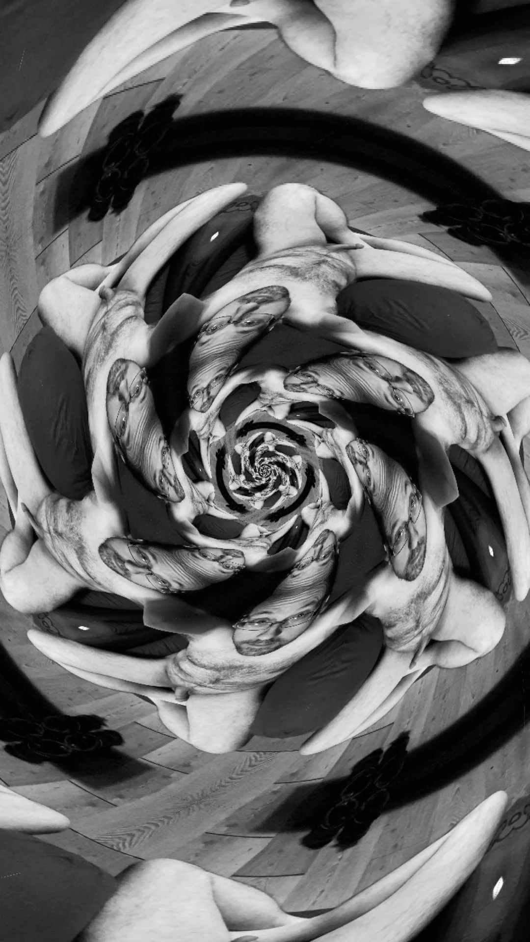 Creative Pic? | Scrolller