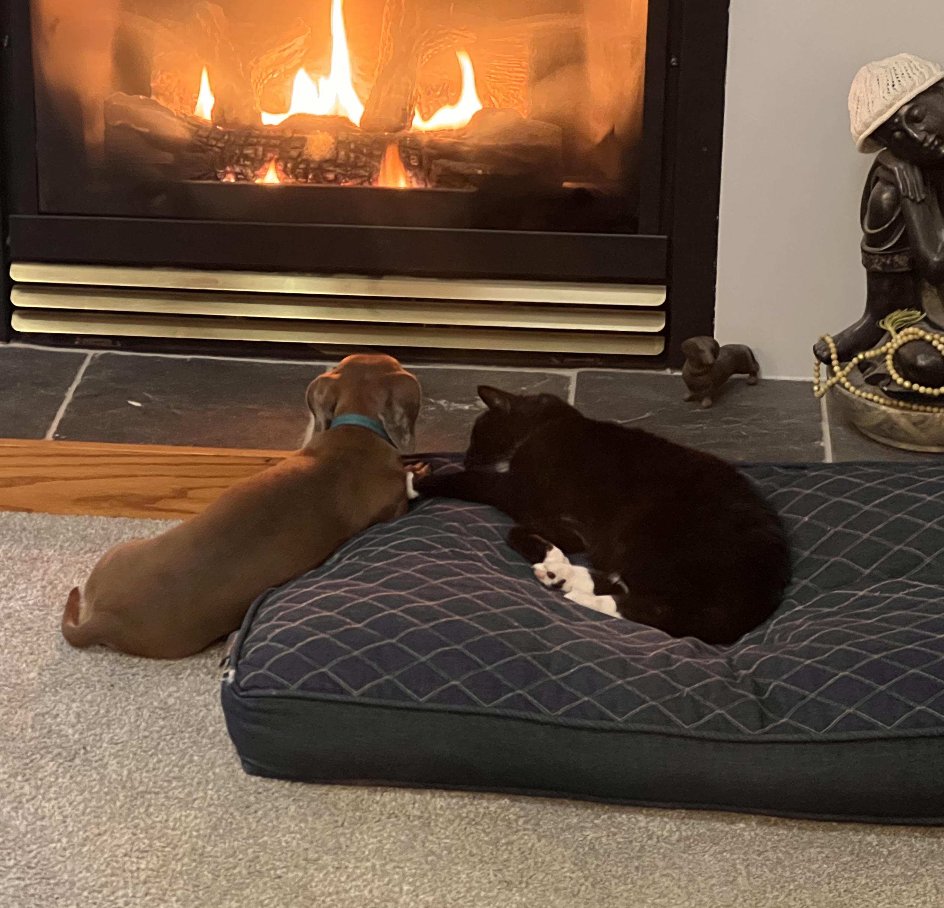 How rude! Caught mid push off the last of the corner | Scrolller