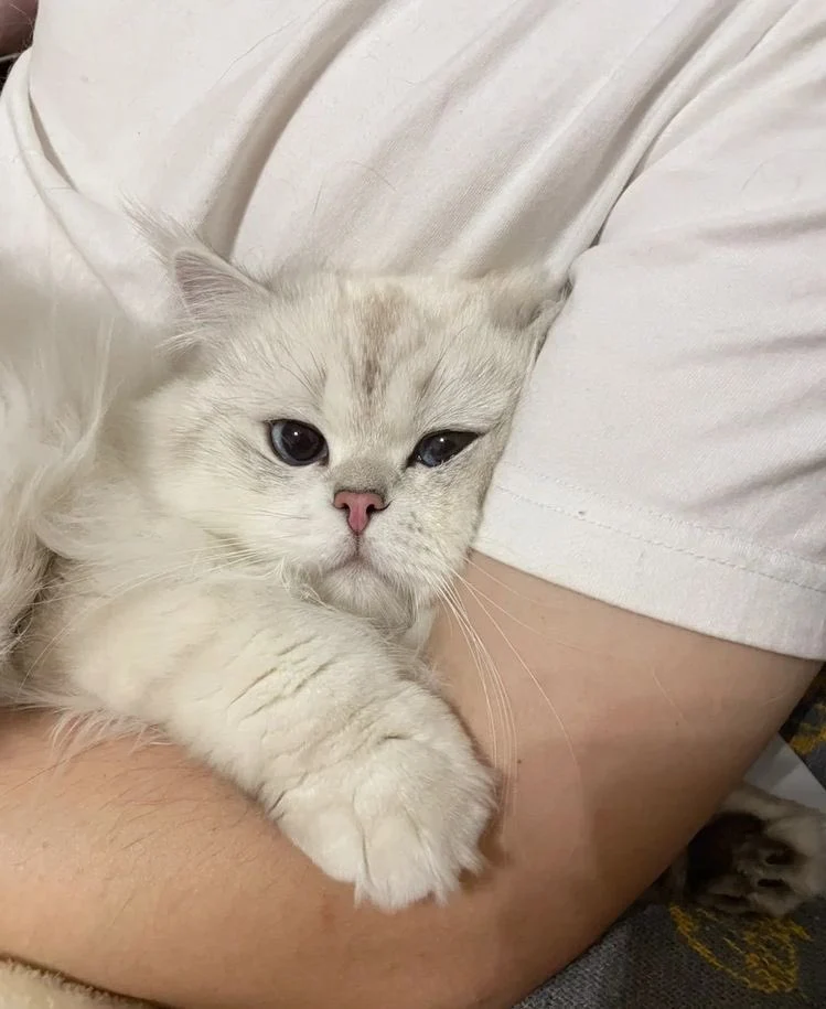 Daily hug~ | Scrolller