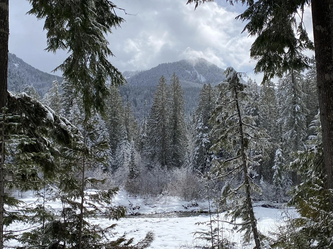 Mount Rainier National Park [2048 x 1536] [OC] | Scrolller
