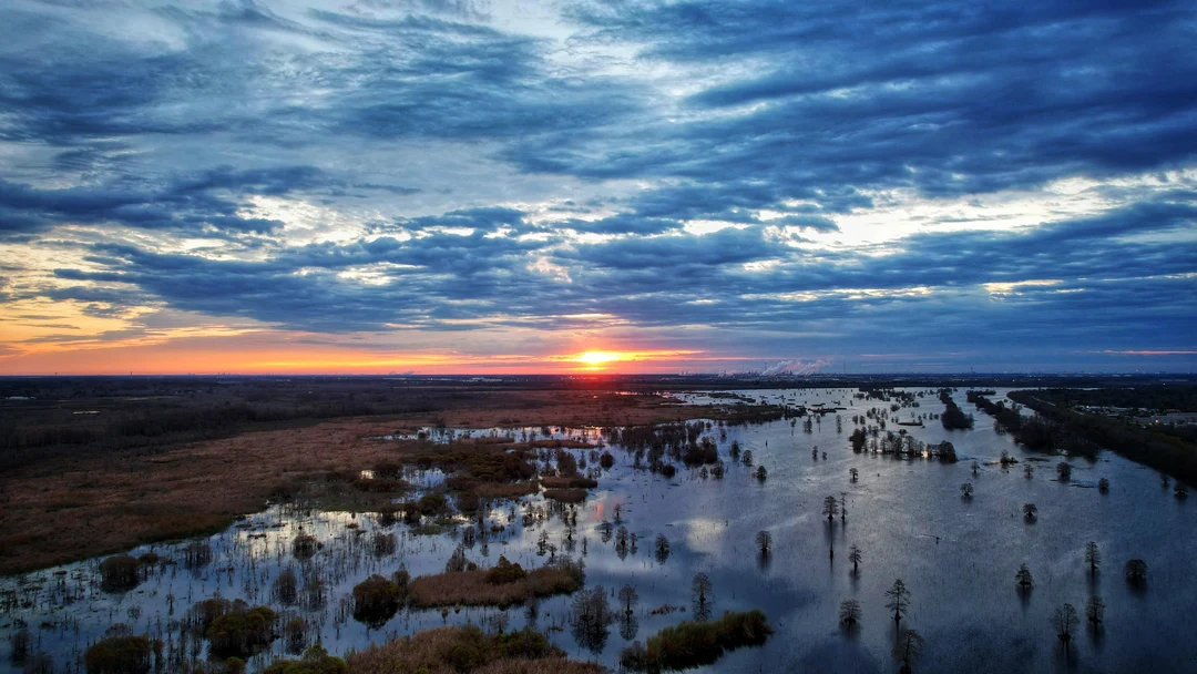 Nature Meets Industrial Skyline [OC] | Scrolller