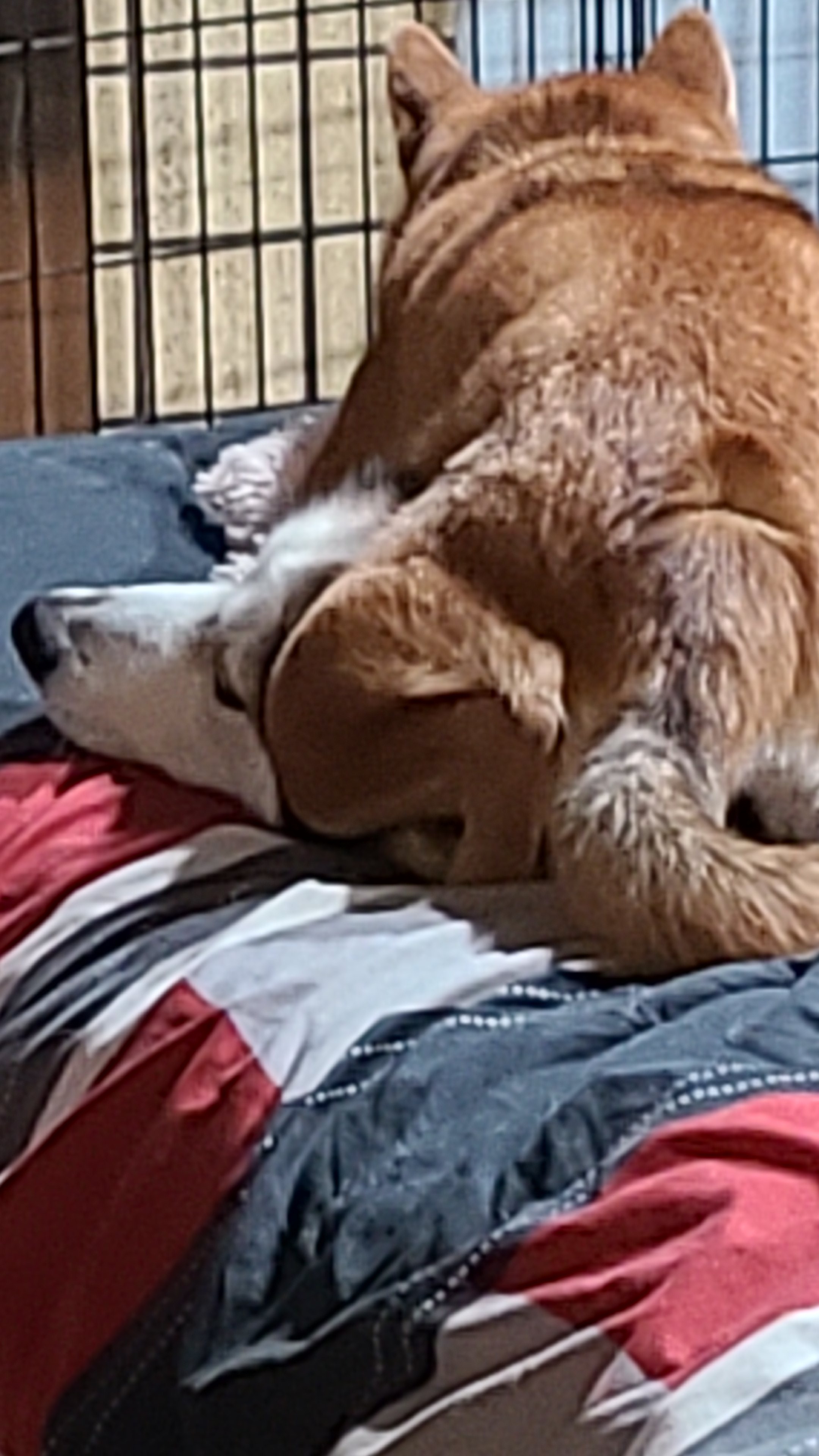 Heads make great resting places. | Scrolller