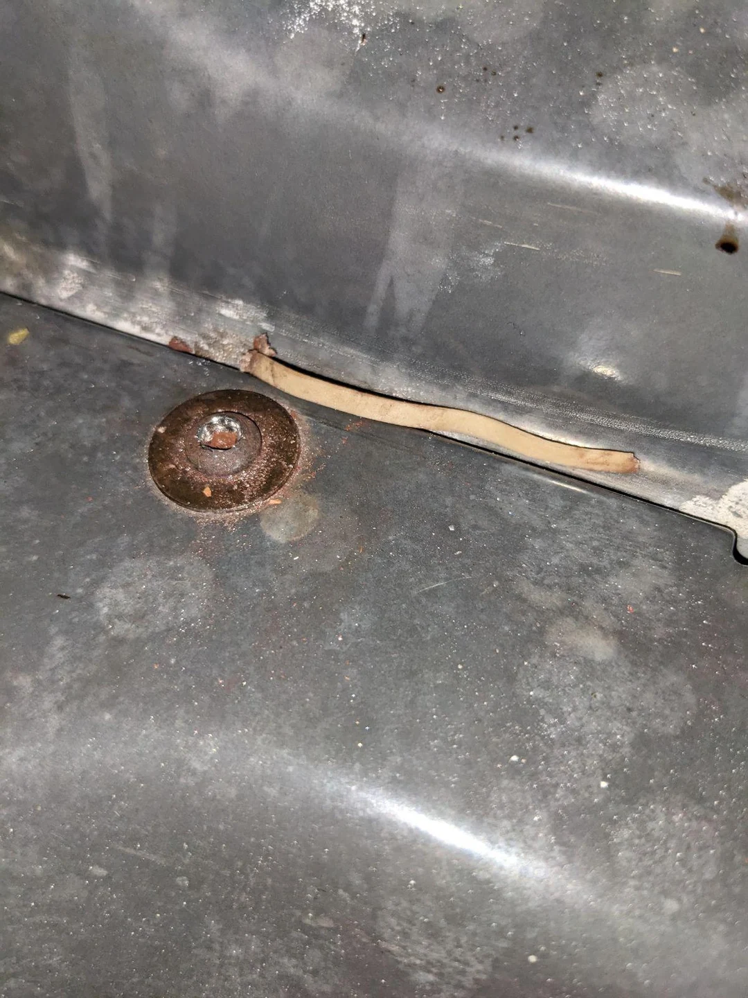 Anyone know how to get a completely stripped screw out? | Scrolller