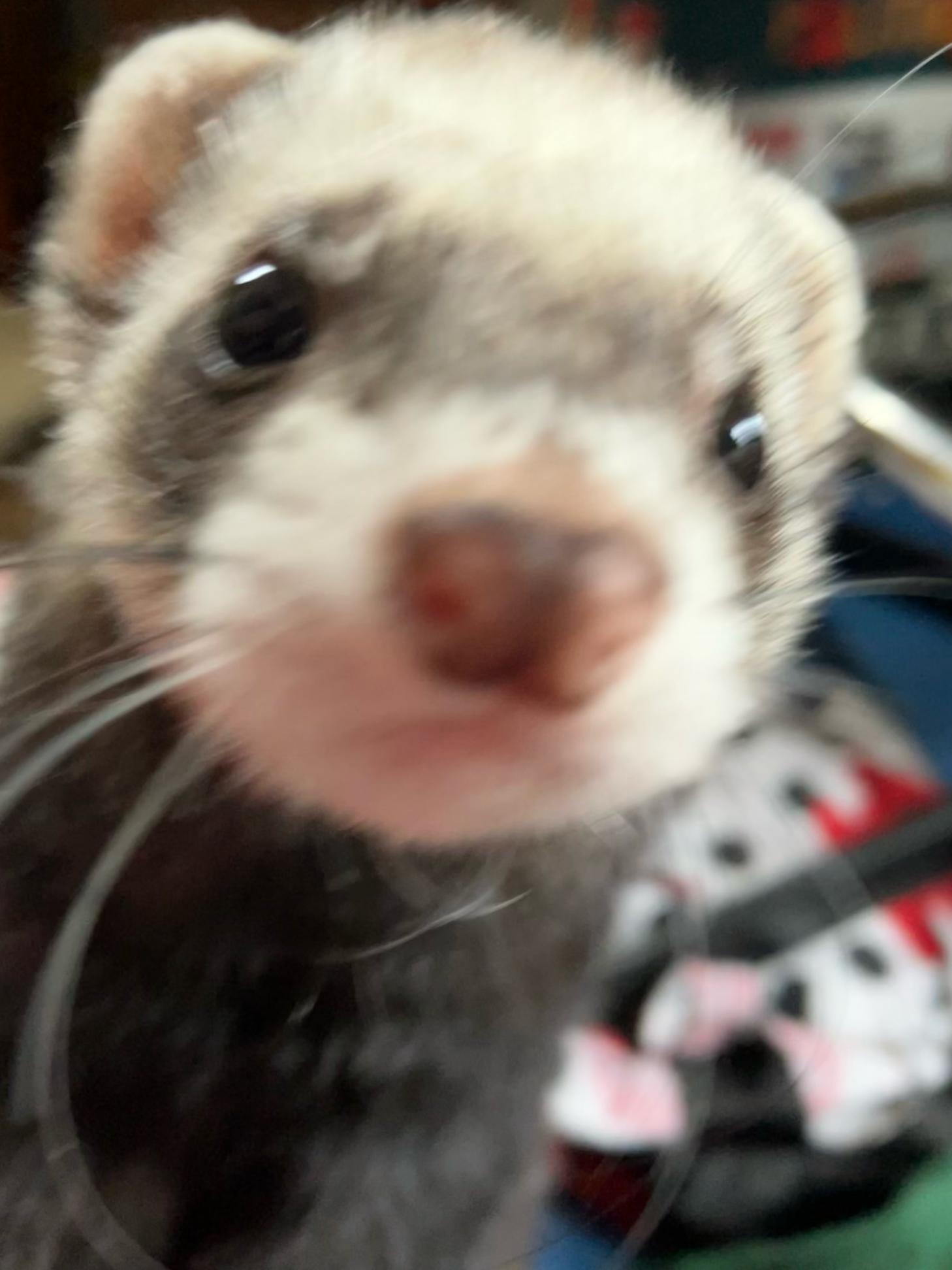 Chaos incarnate | Scrolller