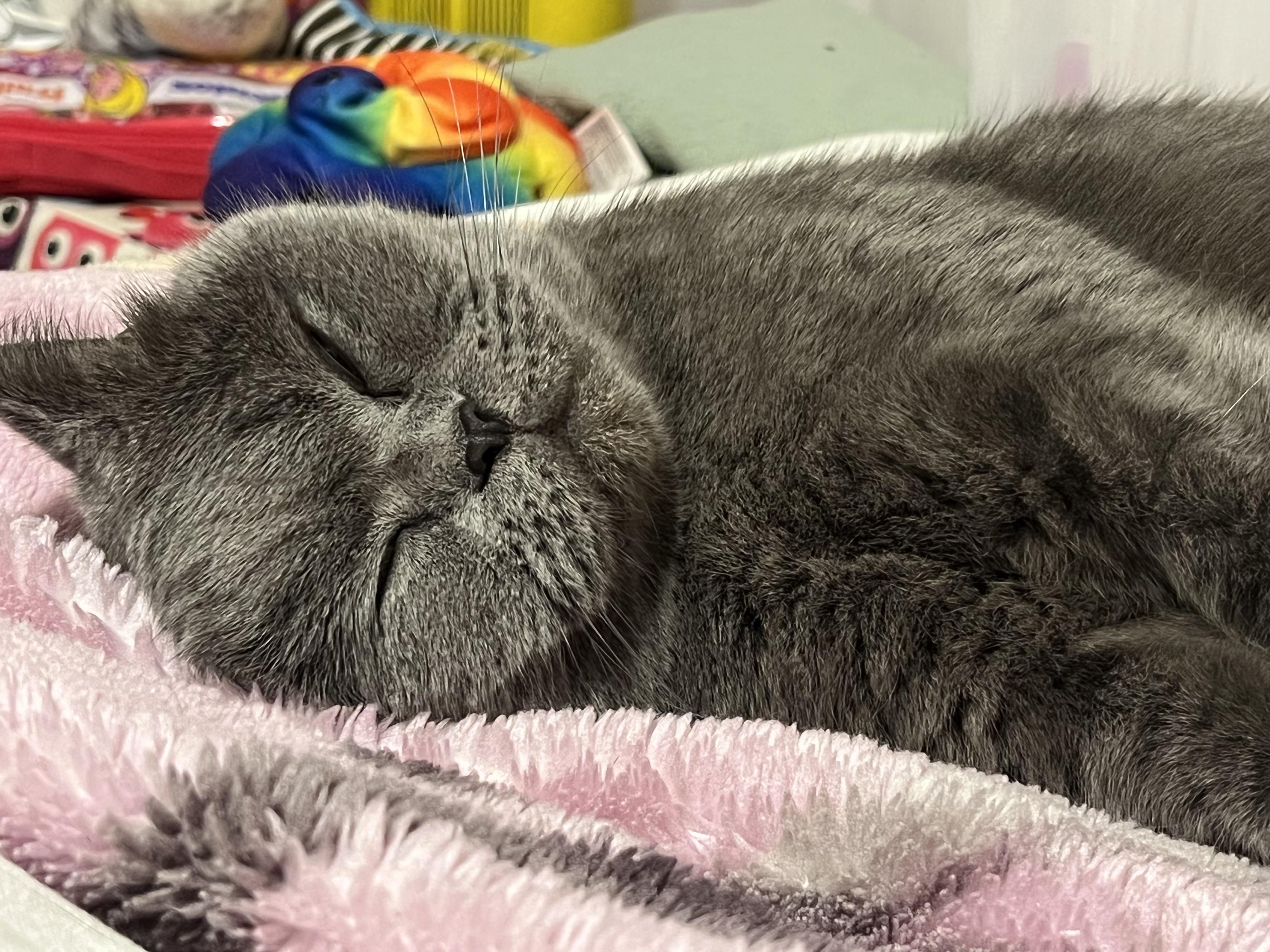 Pure relax… | Scrolller