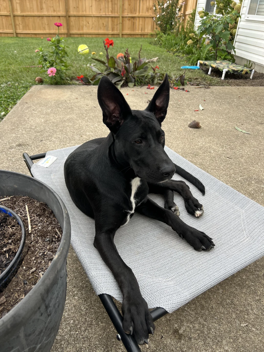 Grim 🖤 | Scrolller