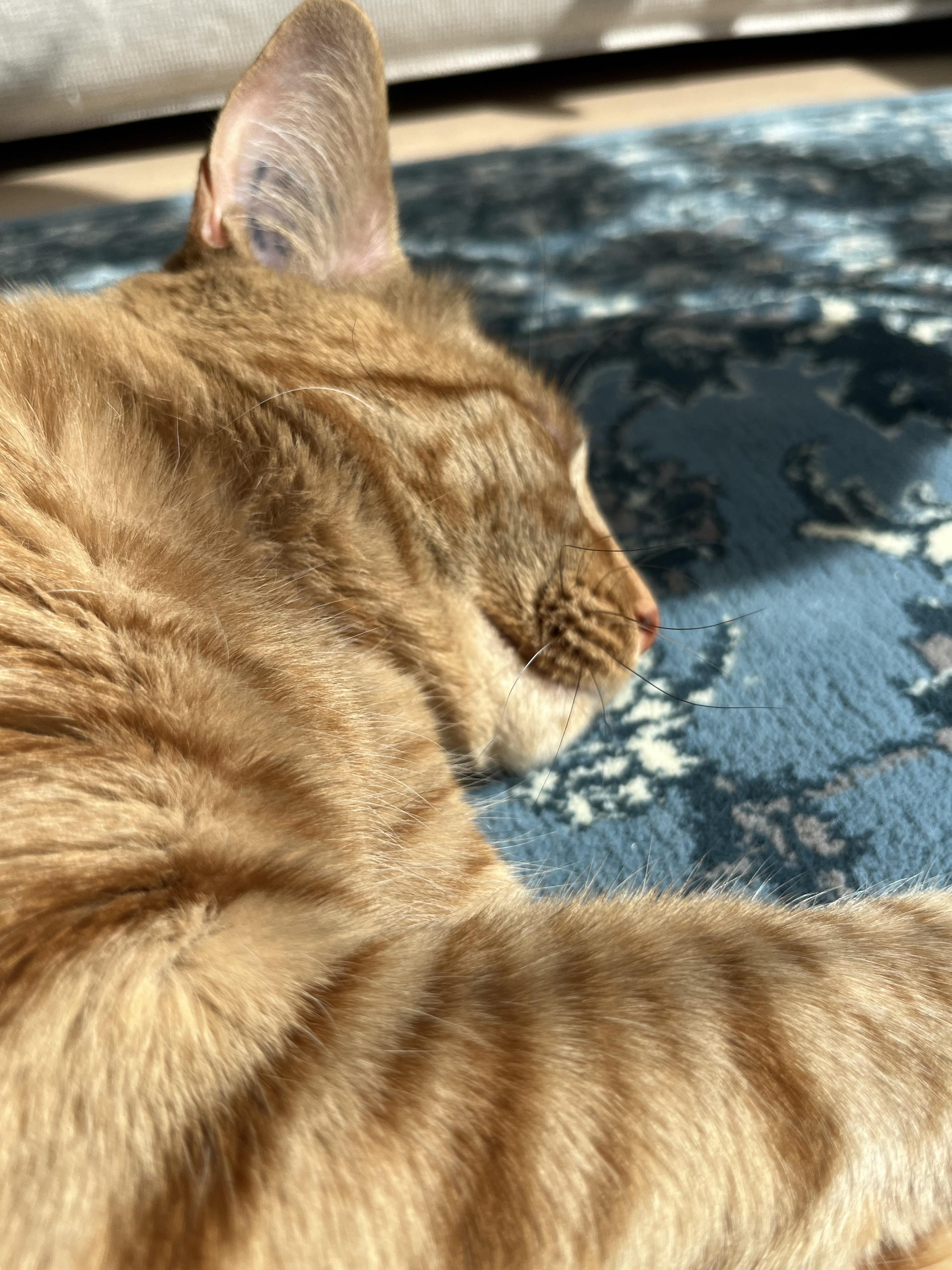 Professional sunbeam locator. | Scrolller