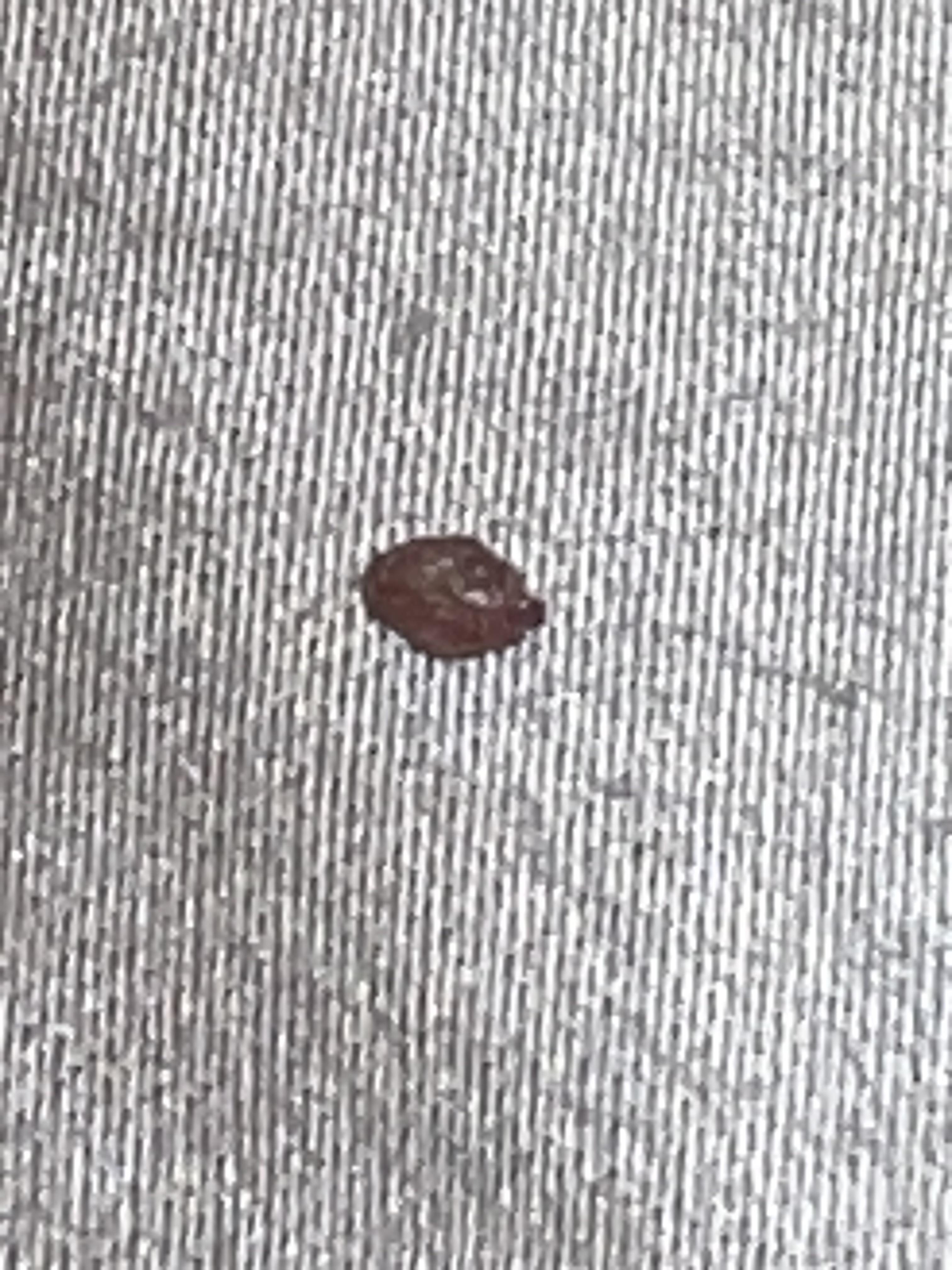 Help with identifying | Scrolller