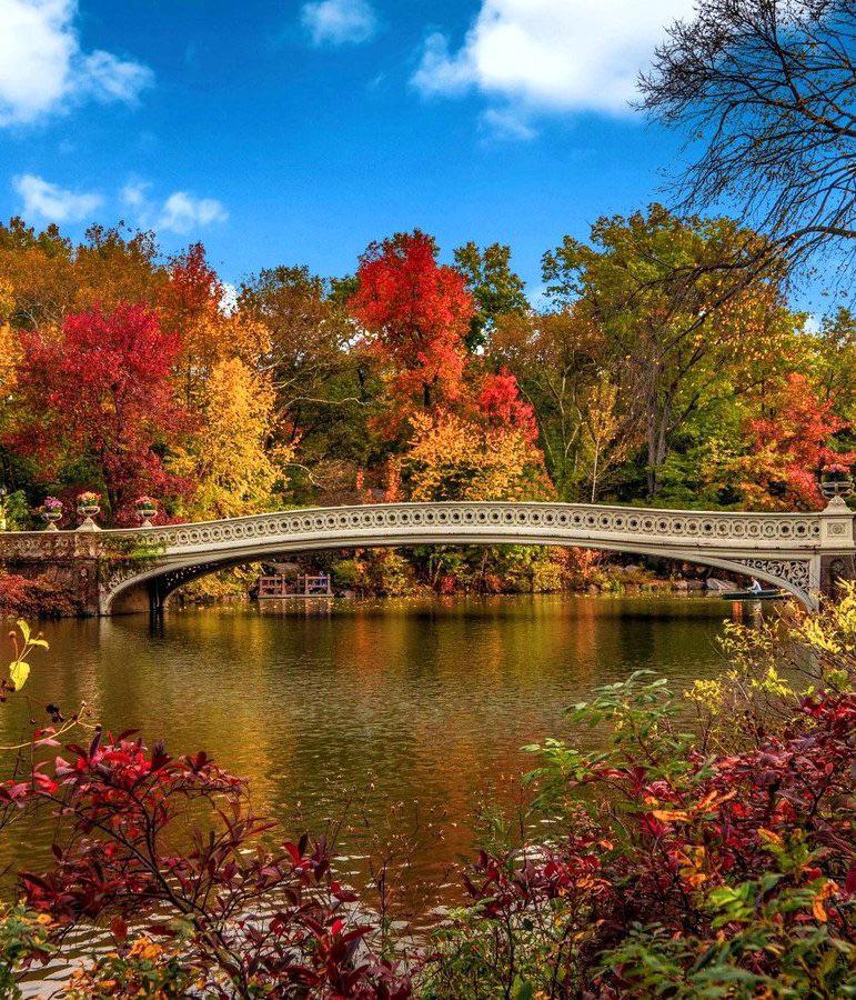 Central Park at Fall in New York, NY 🇺🇸 | Scrolller