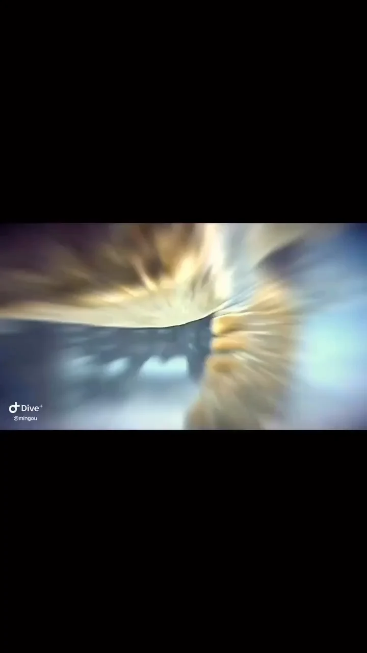 Diving the south of Gran Canaria | Scrolller