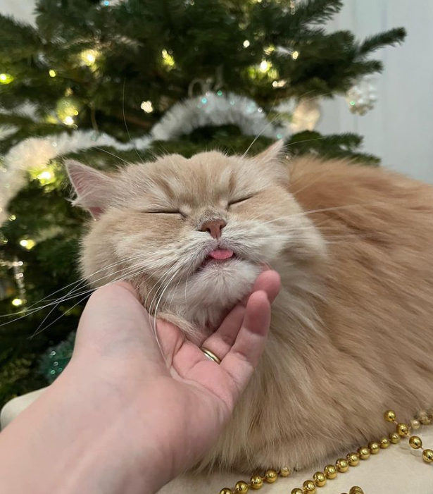 Mindy Blep | Scrolller