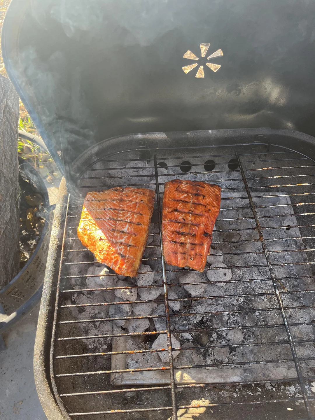 Alaskan Salmon | Scrolller