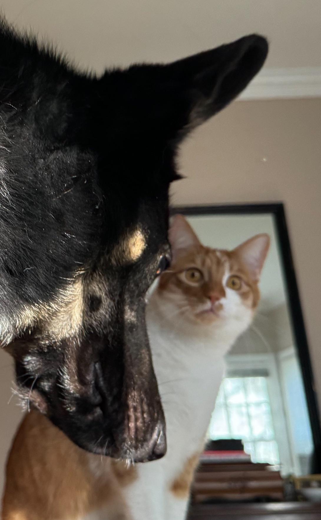 Birdie & Bean | Scrolller