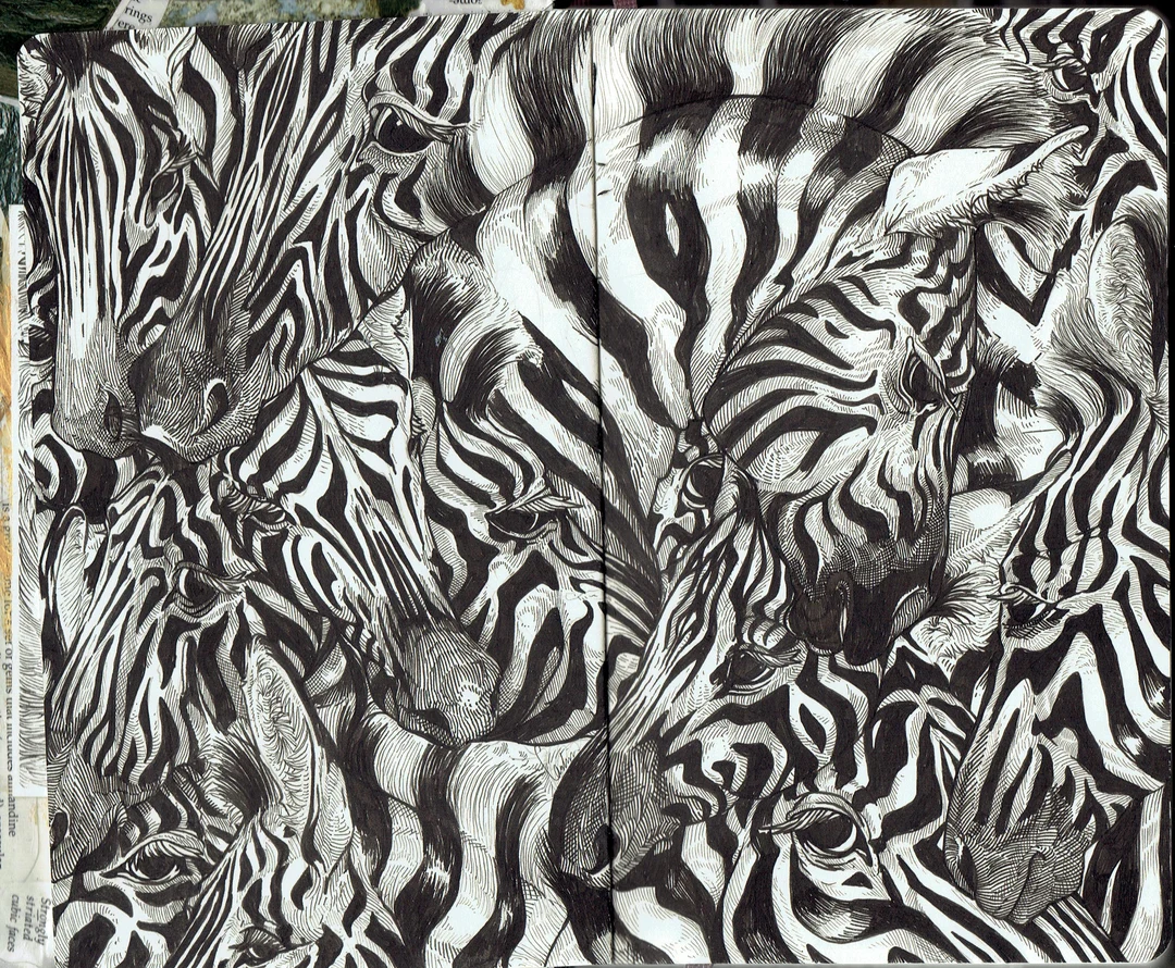 Zebras, Me, Ink, 2023 | Scrolller