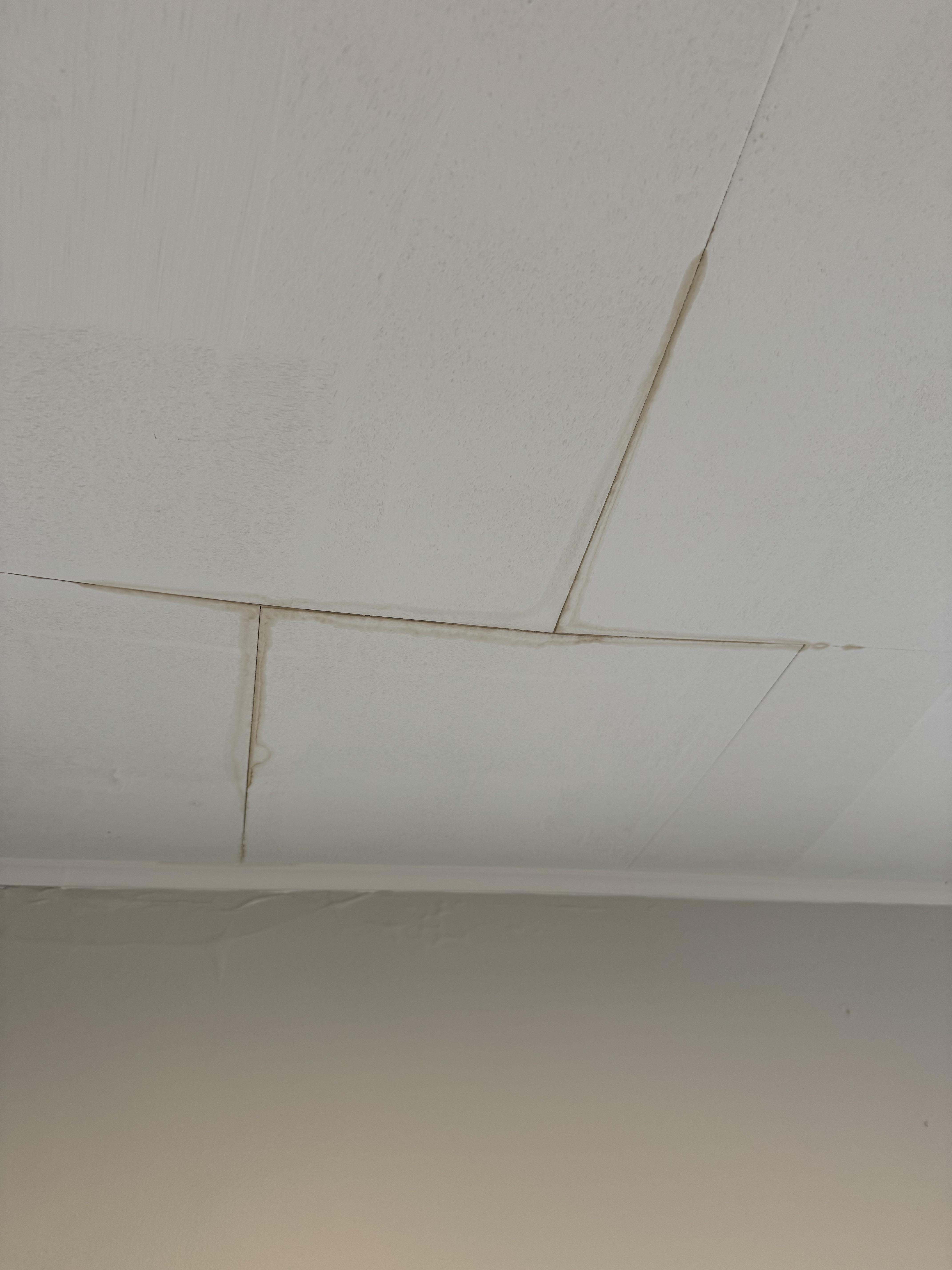 Staining on ceiling HELP! | Scrolller