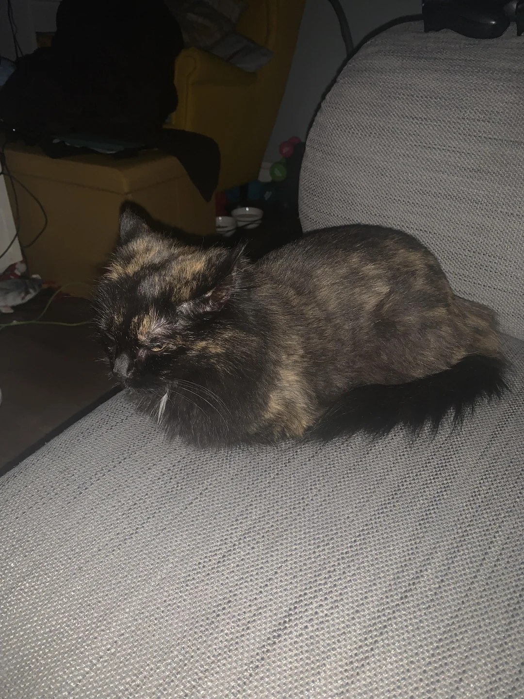 Tsundere Loaf | Scrolller