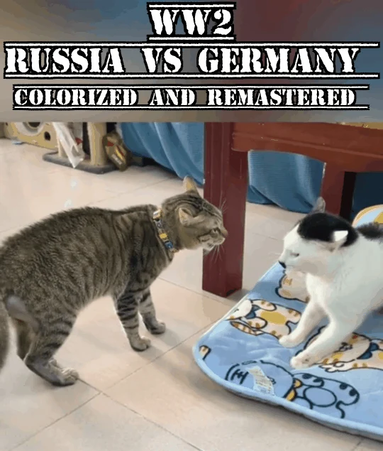 Kitler launches his attack | Scrolller