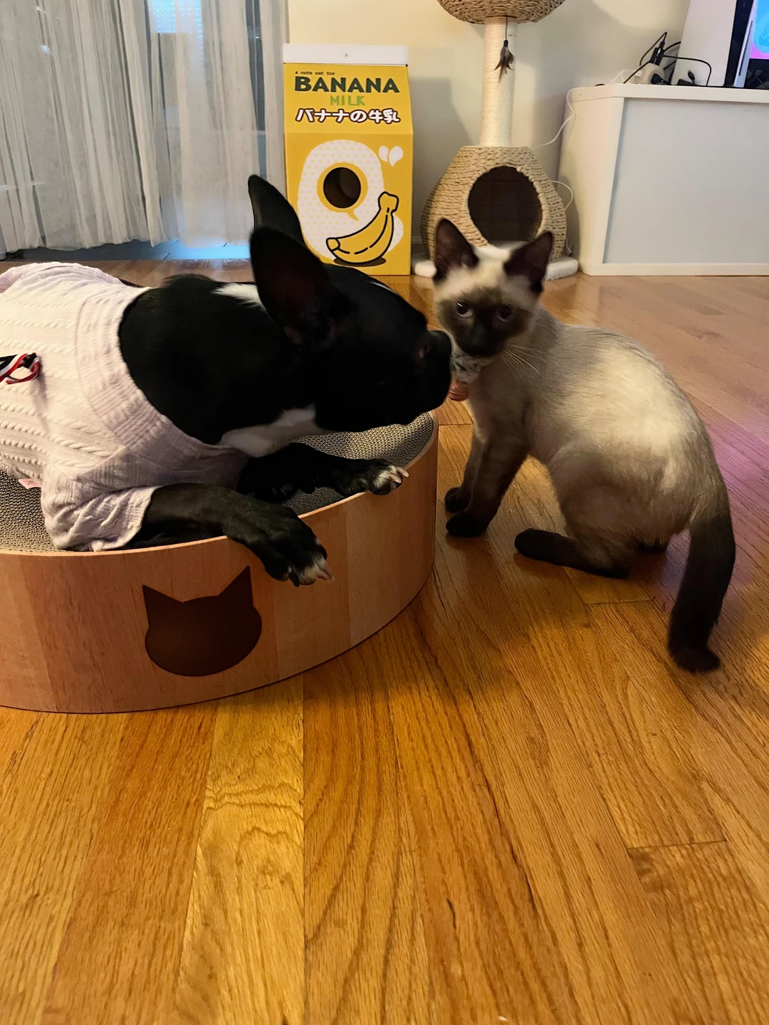 Uno reverse card | Scrolller