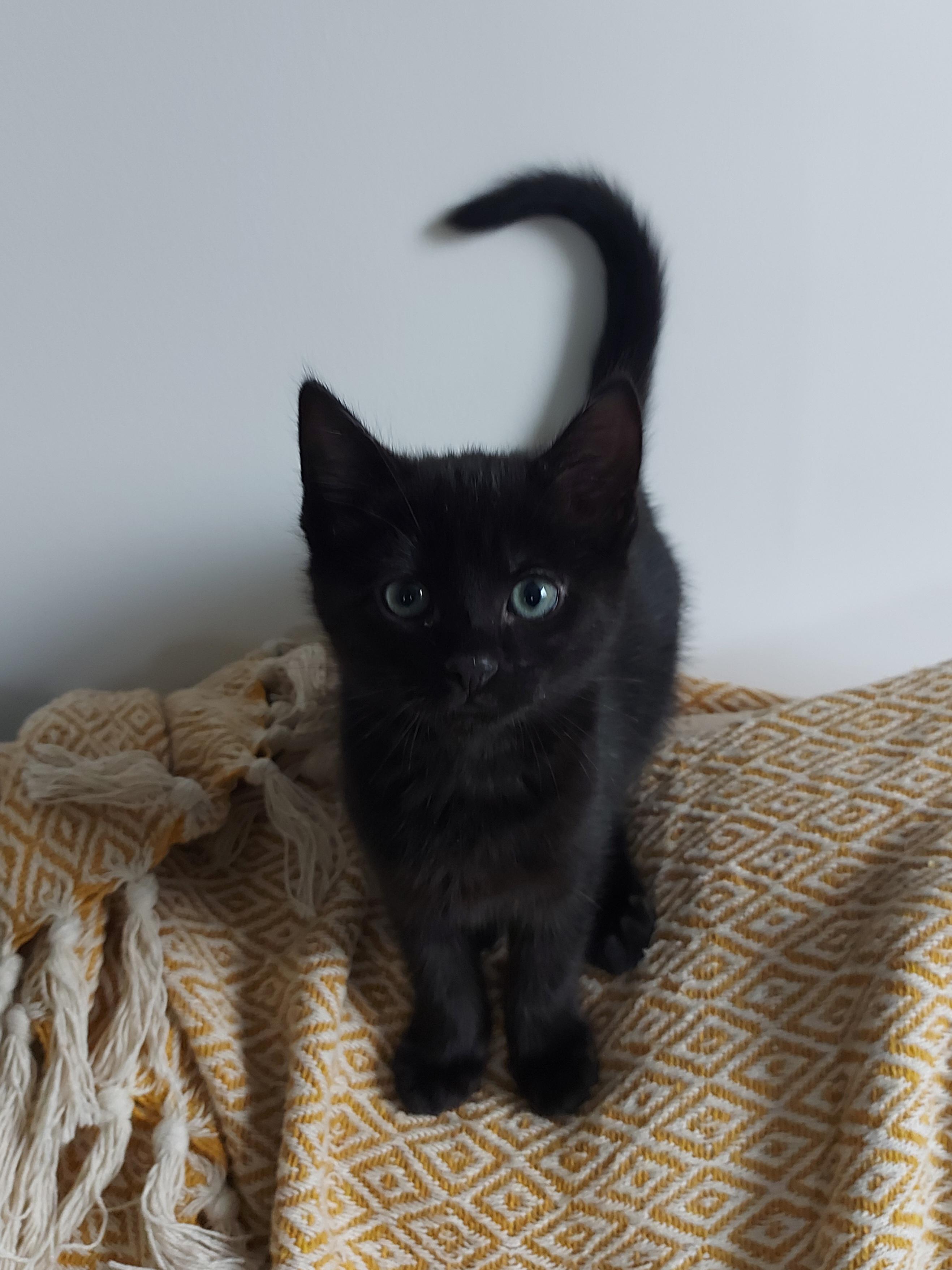 Jackie the Void | Scrolller