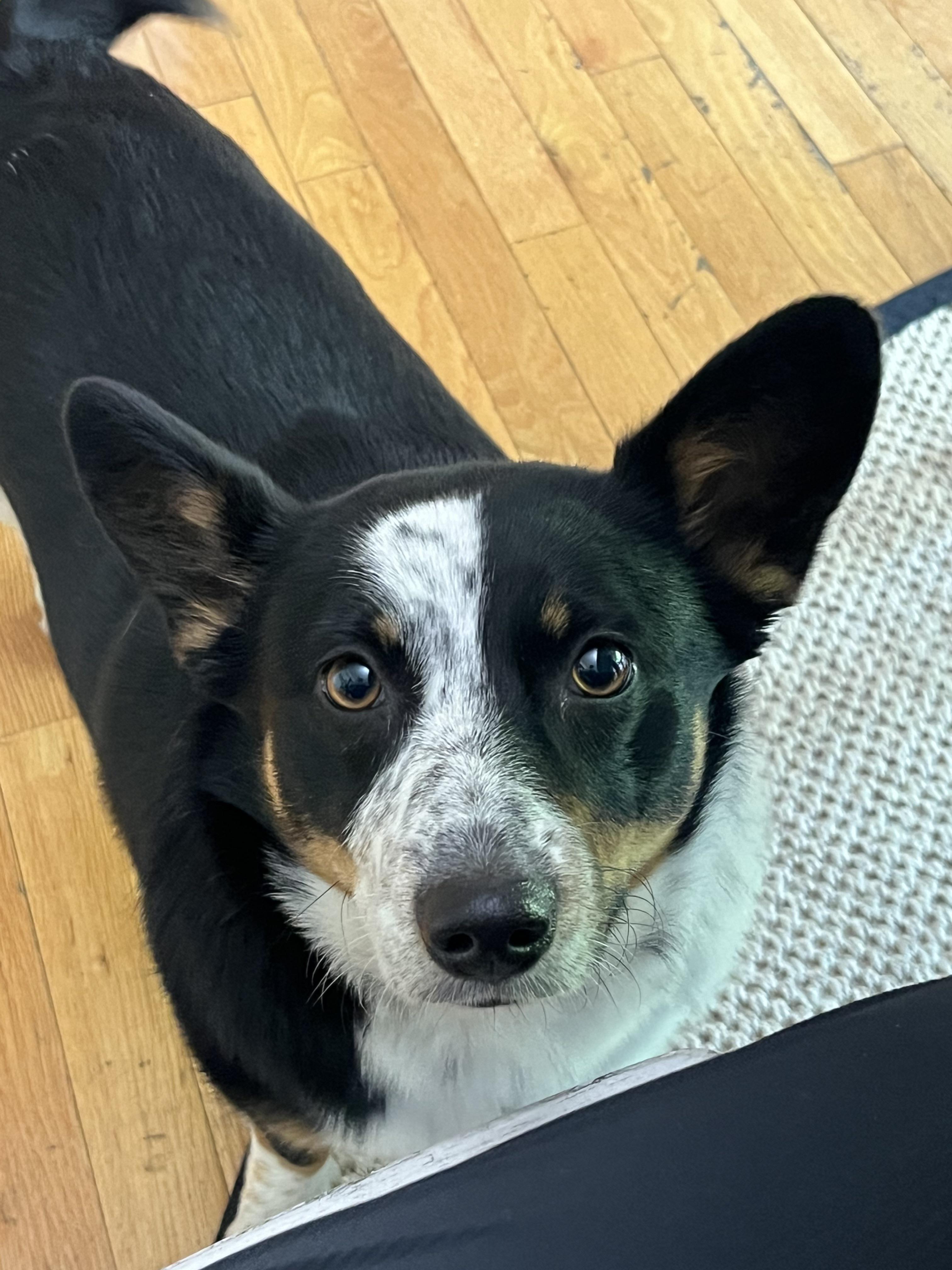 Aggression? | Scrolller