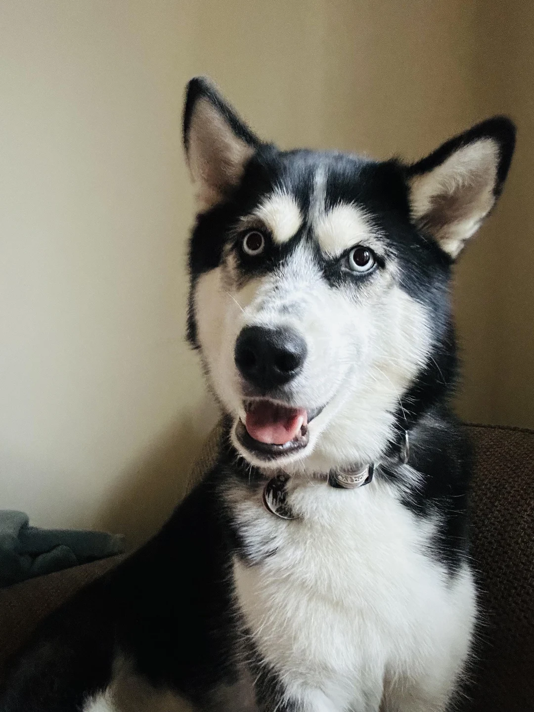 Curious Juno | Scrolller