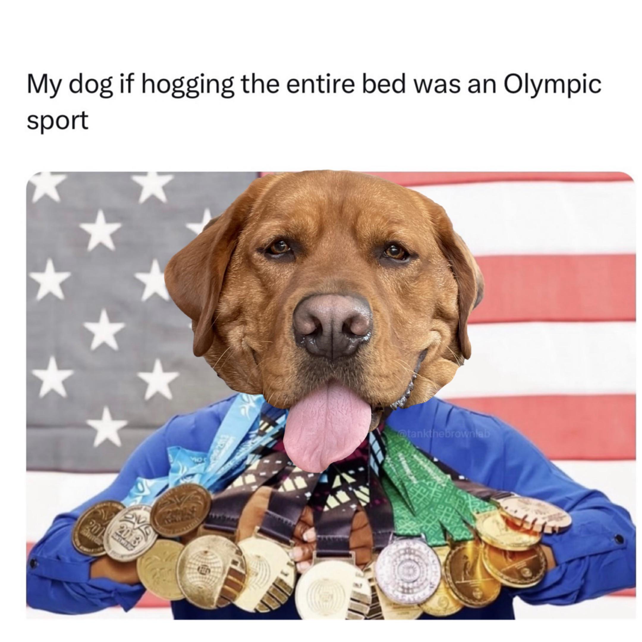 World Record | Scrolller