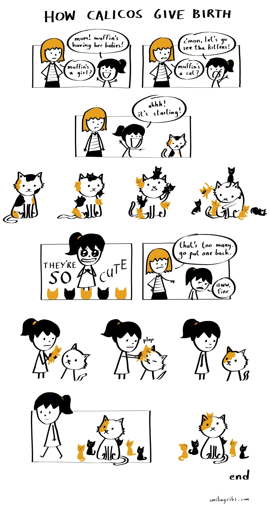 Calico Origin Story | Scrolller