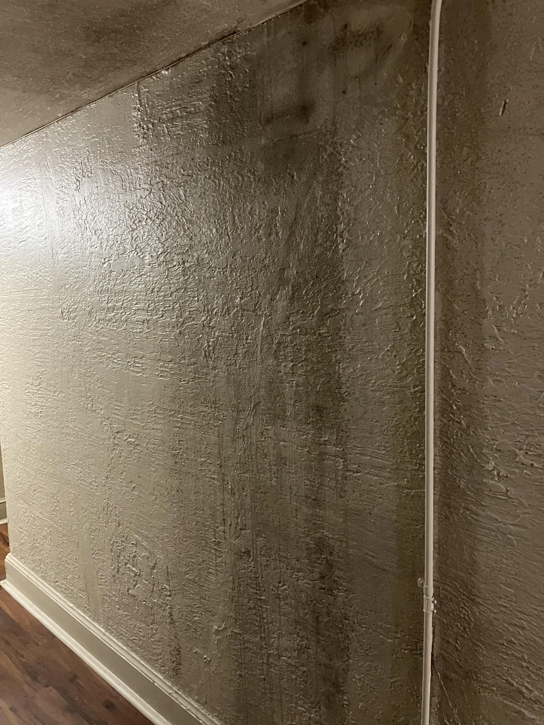 H2’s Black Mold Is Vast | Scrolller