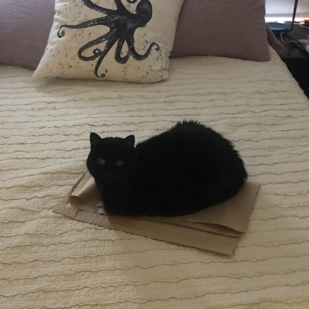 3 years later sequel of my friend’s very burnt loaf | Scrolller