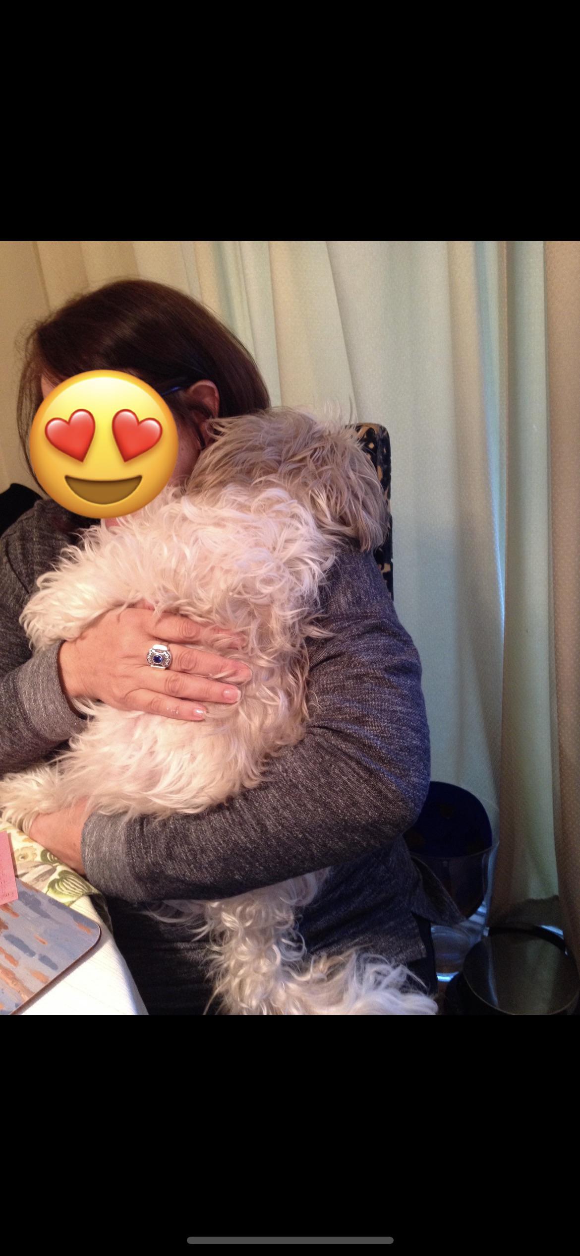 Does anyone else’s pup like to be held like this? | Scrolller