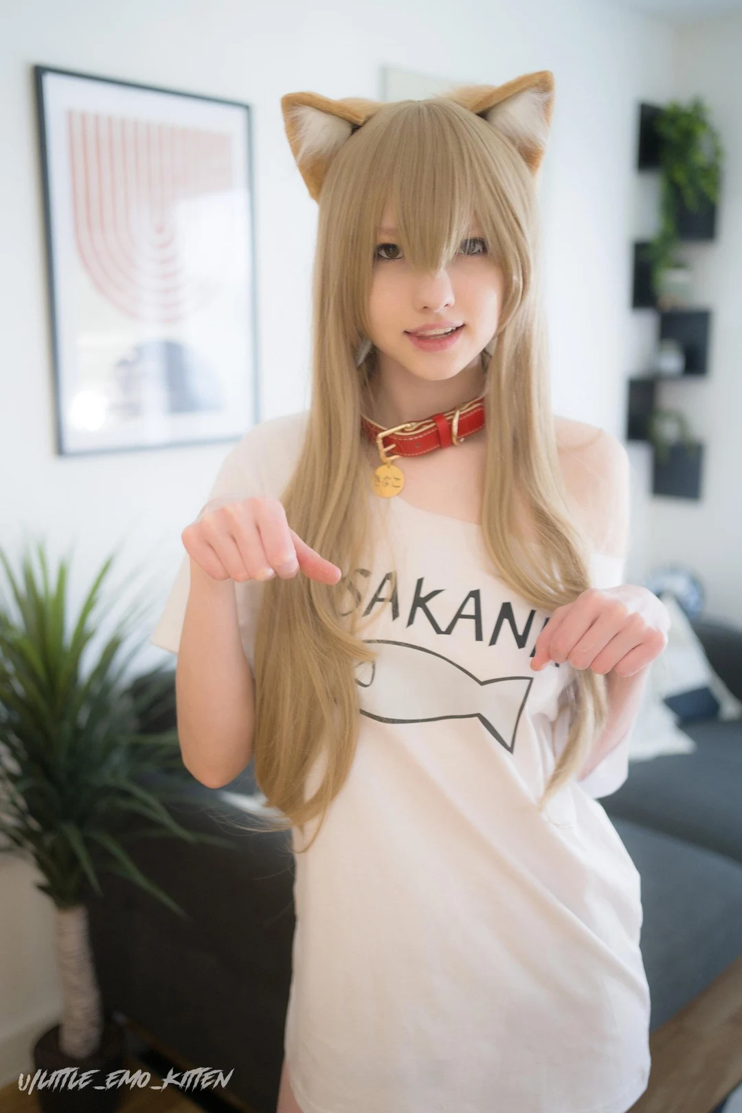 kinako by little_emo_kitten | Scrolller