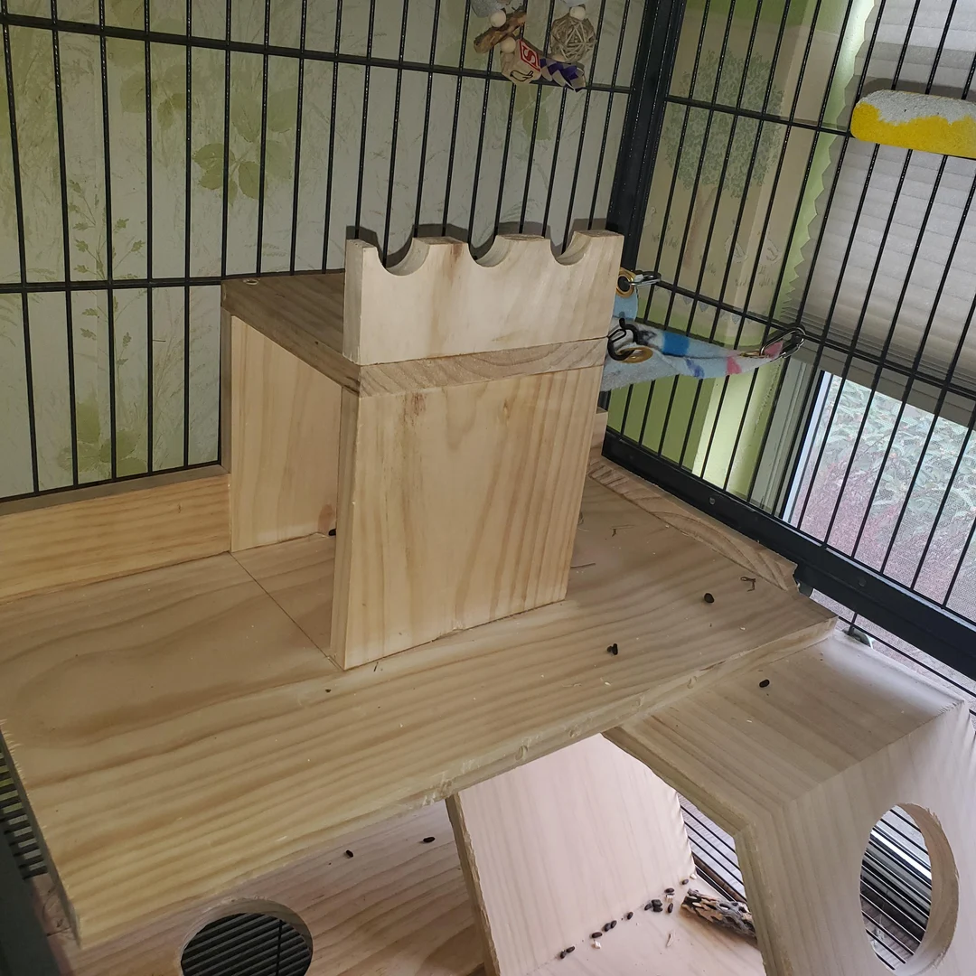 Made a new shelf | Scrolller