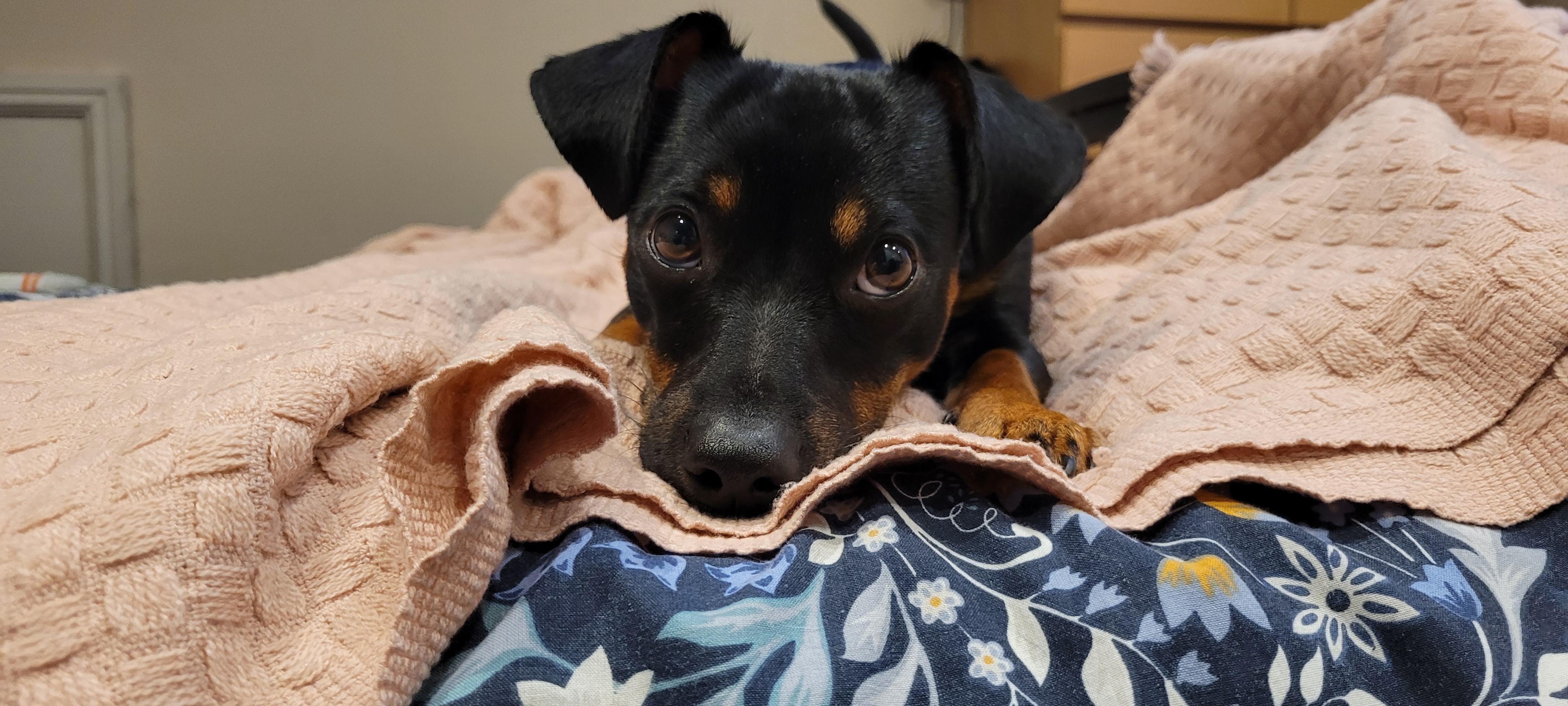 Is this guy a full Jack? | Scrolller