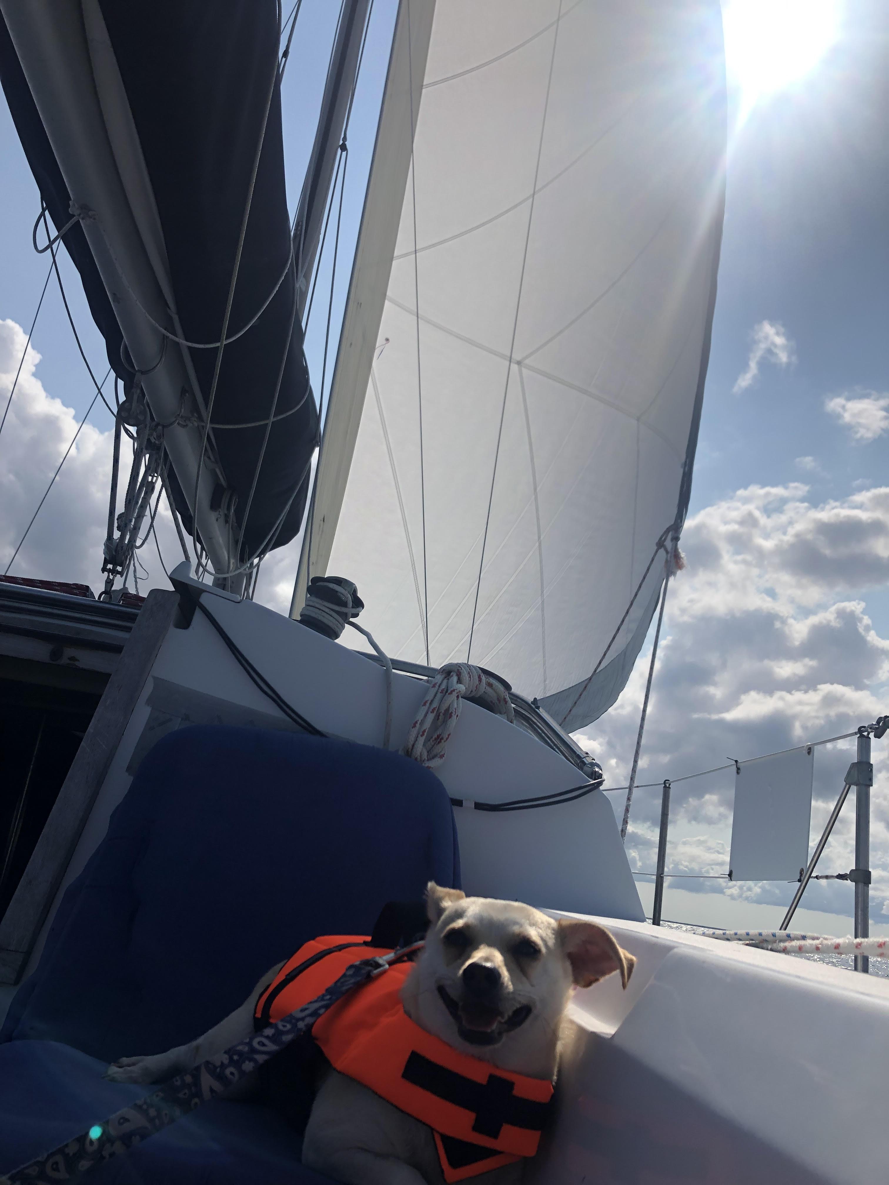 I like this trend | Scrolller