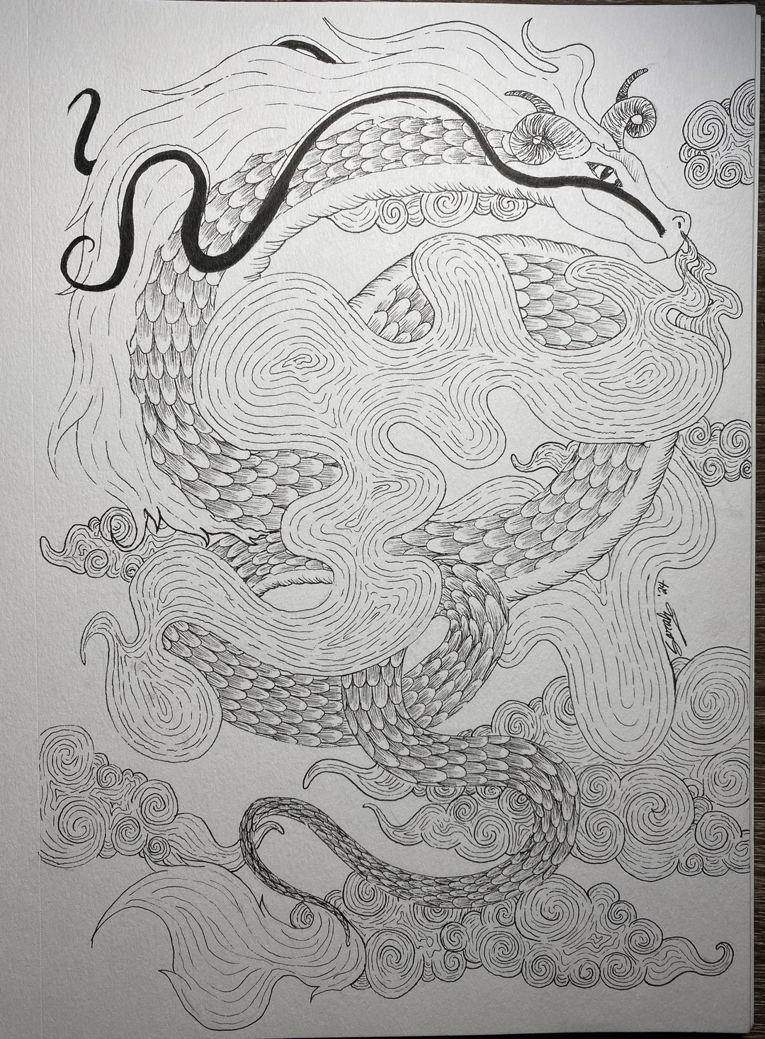 Dragon, Sarah (Me), Ink, 2024 | Scrolller